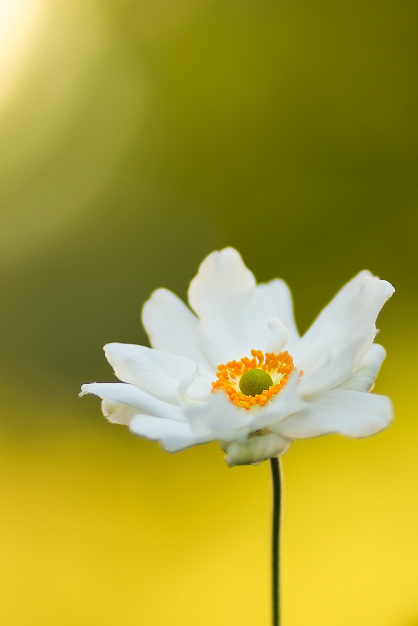 Easter - Cambridge Centre for Christianity Worldwide
